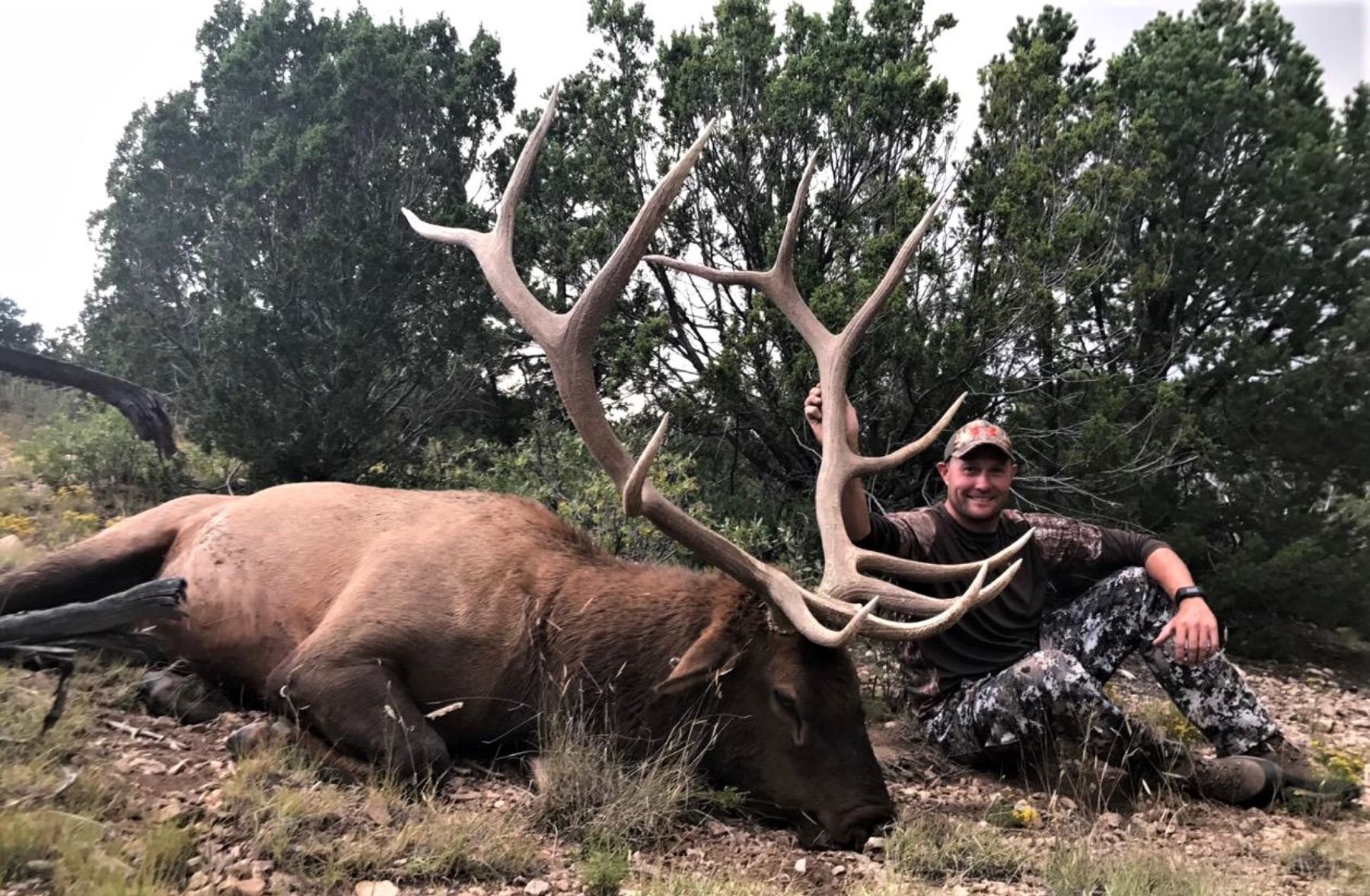 New Mexico: 5 Day Elk/Deer/Bear Combination Archery hunt for 2 hunters