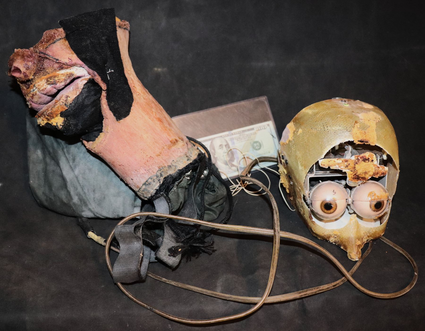 CHIODO BROTHERS ANIMATRONIC HEAD WITH SERVOS