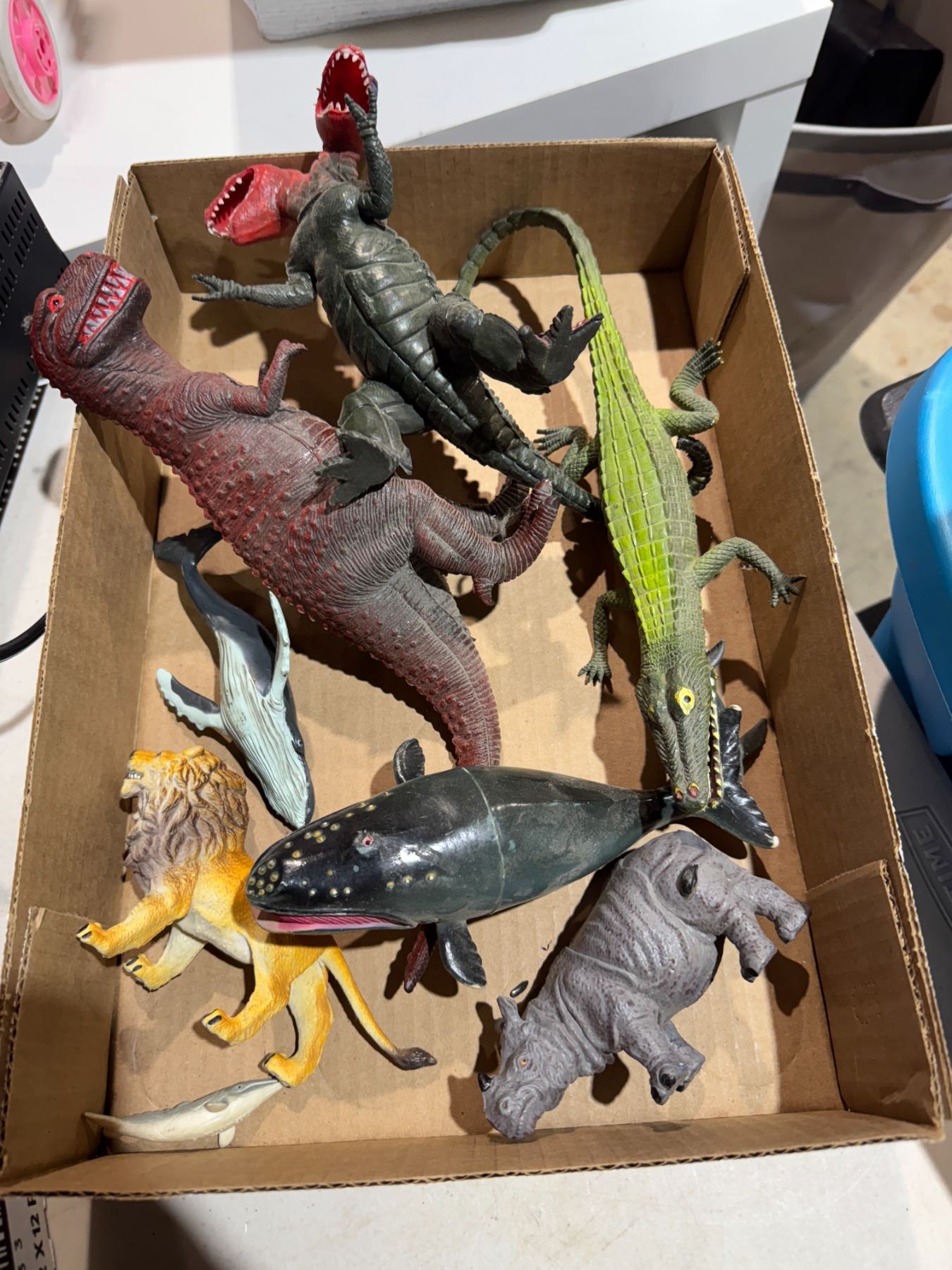 Dinosaurs and other animals