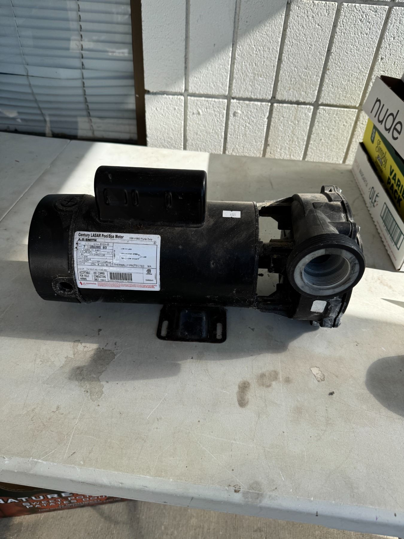 Pool/spa Motor