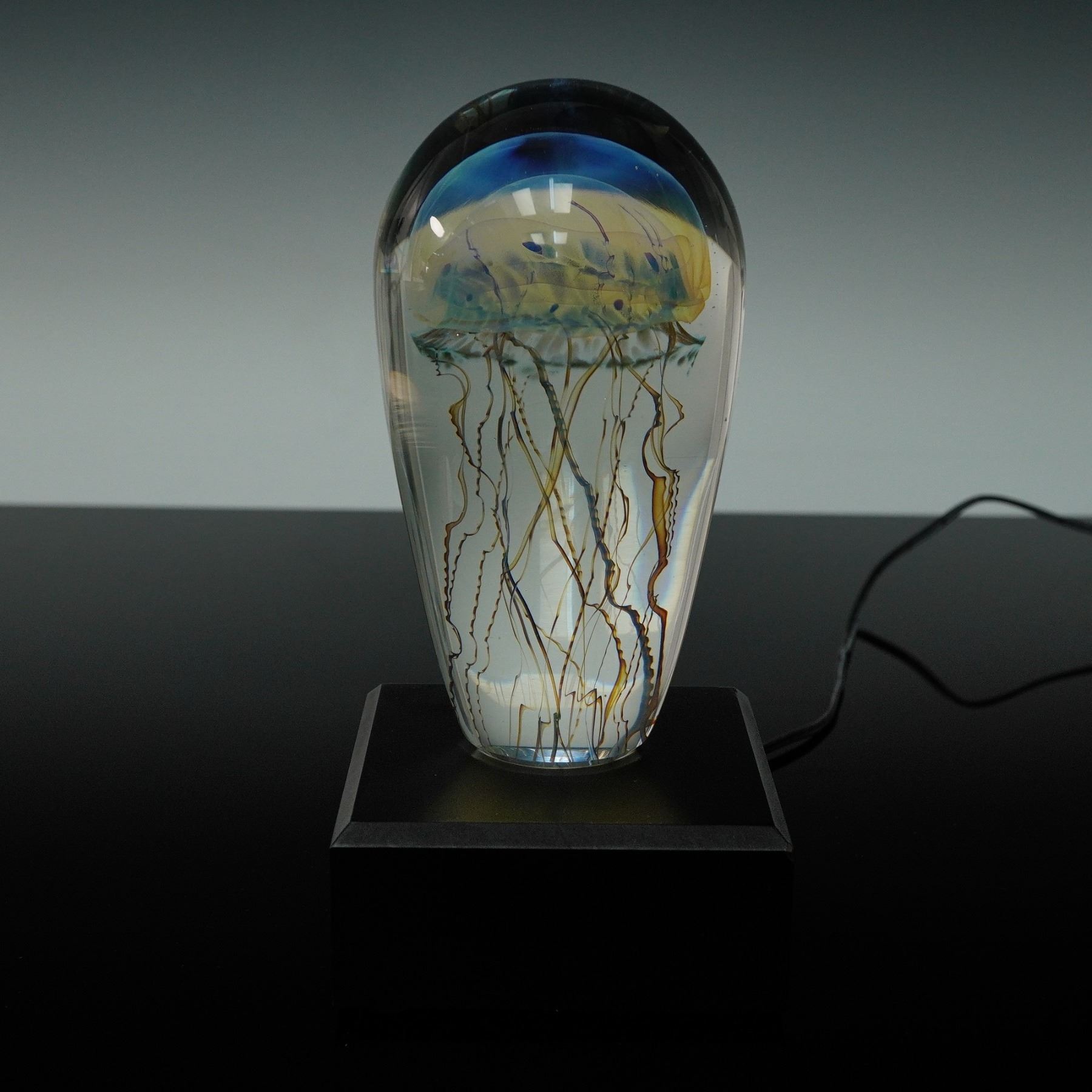 Richard Satava Art Glass Jellyfish Sculpture with Lighted Base