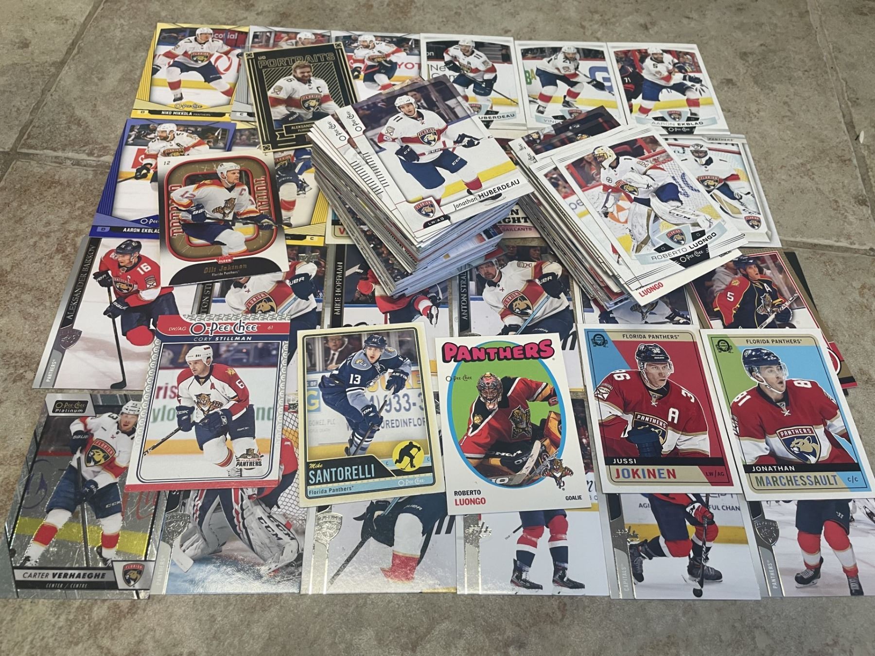 Florida Panthers Hockey Cards As Shown