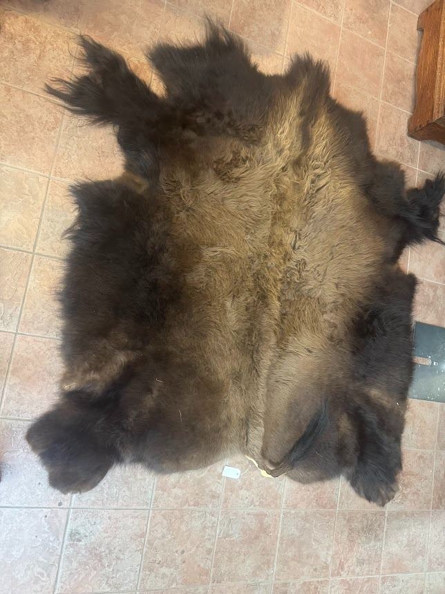 Large tanned buffalo hide thin