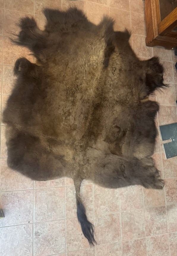Large Tanned Buffalo hide