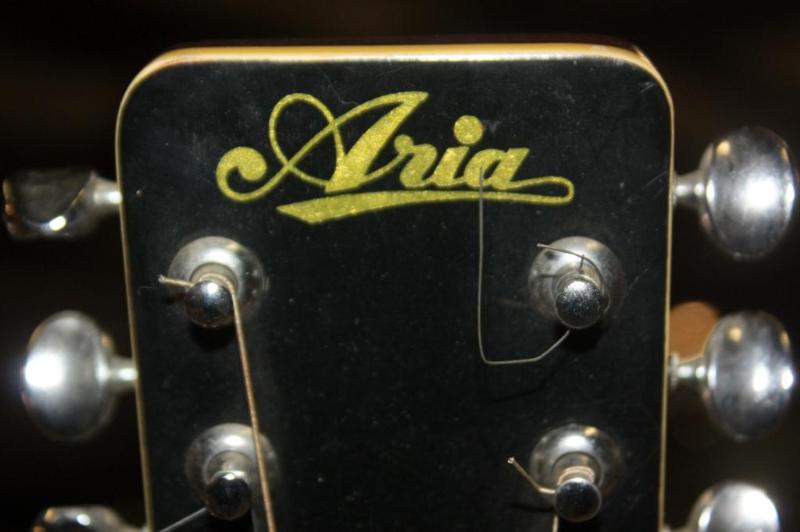 Aria 12 String Acoustic Guitar