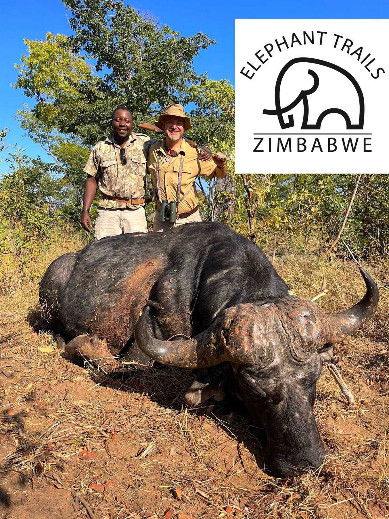 7-Day Zimbabwe Cape Buffalo Hunt for 1 Hunter