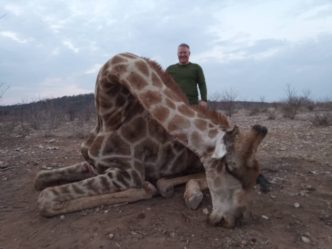 9-Day Namibia Damara Dik-Dik & Giraffe Hunt for 1 Hunter