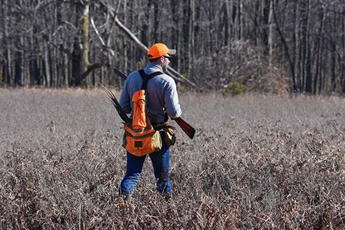 1-Day Michigan 100 Bird European Hunt for 10-20 Hunters