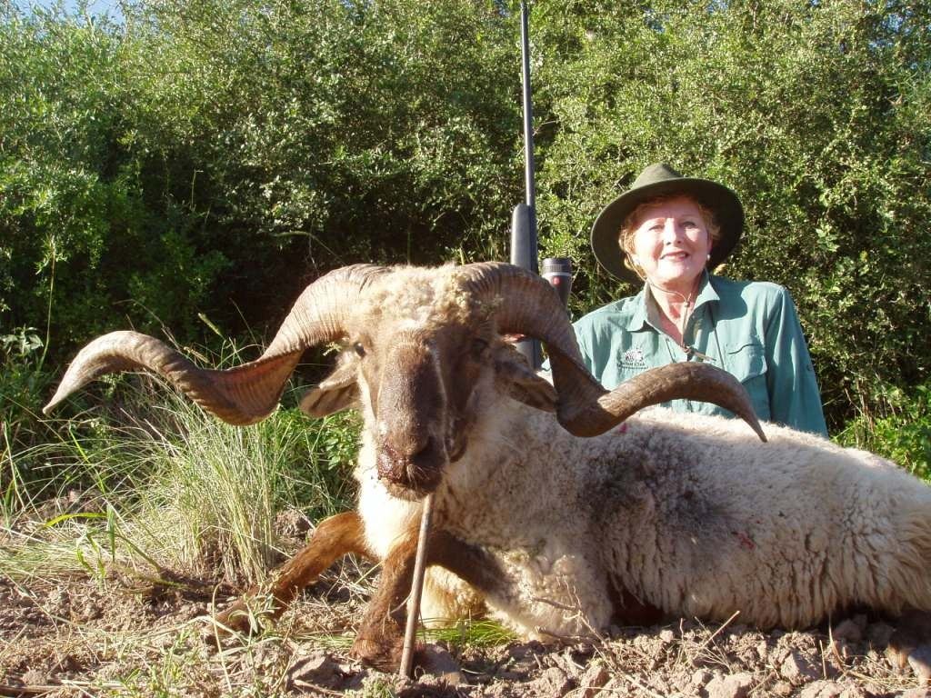 7-Day Argentina Boar, Ram, Multi-Horned Hunt for 2 Hunters