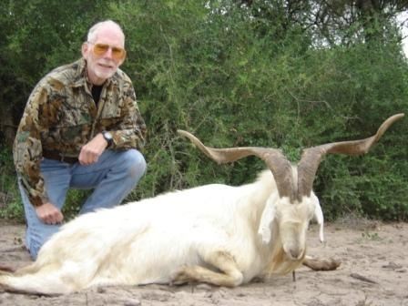 7-Day Argentina Boar, Ram, Multi-Horned Hunt for 2 Hunters