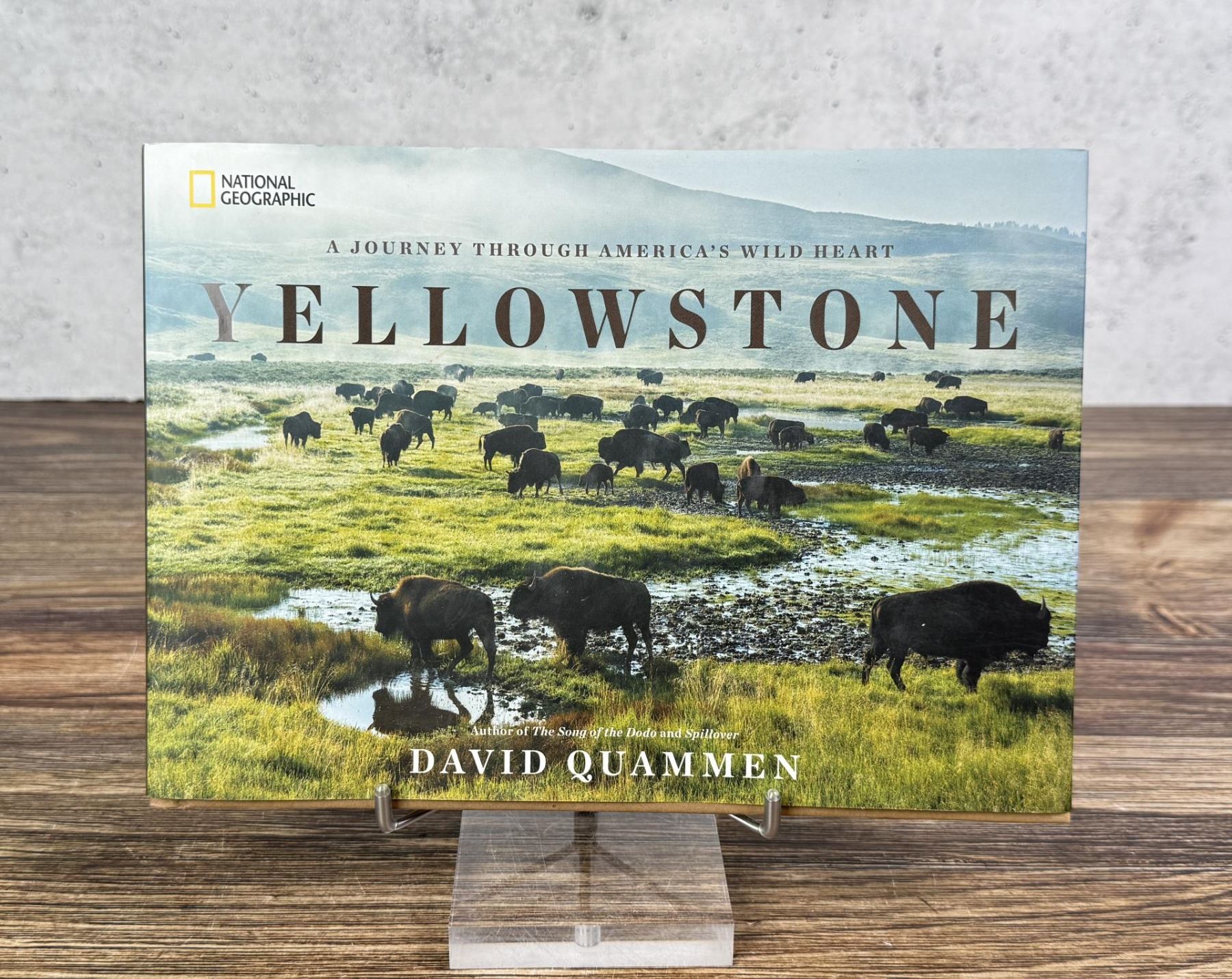A Journey Through America's Wild Heart Yellowstone