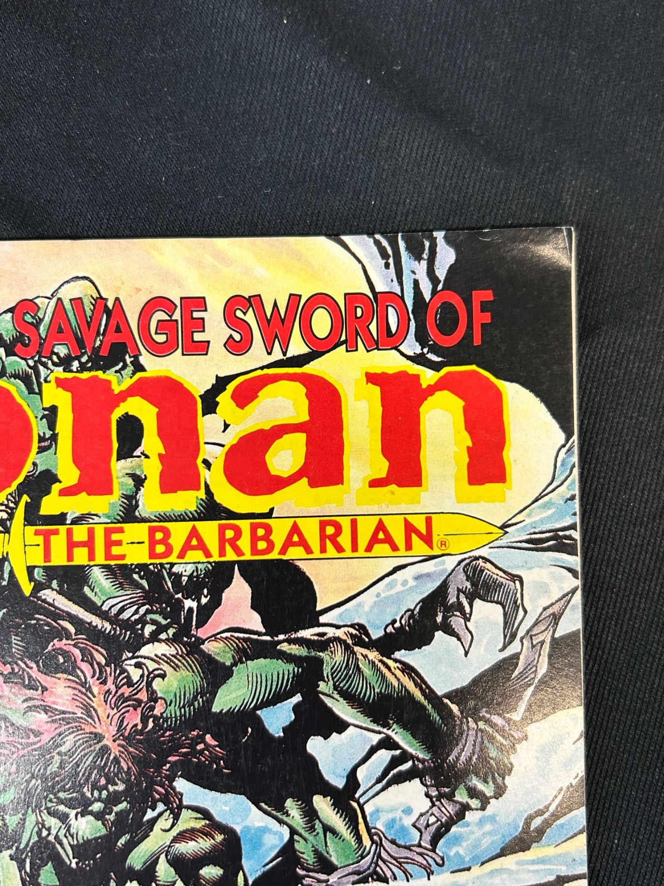 The Savage Sword of Conan *Final Edition* #235 (has tears)