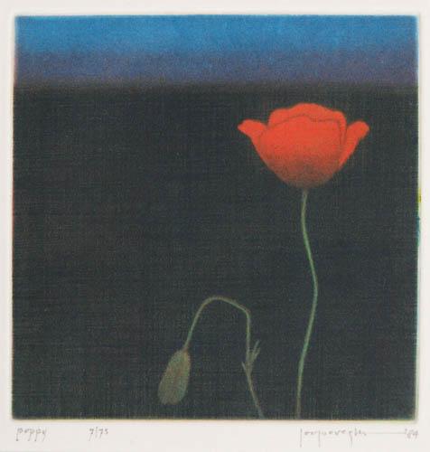 Joop Vegter Poppy color mezzotint
