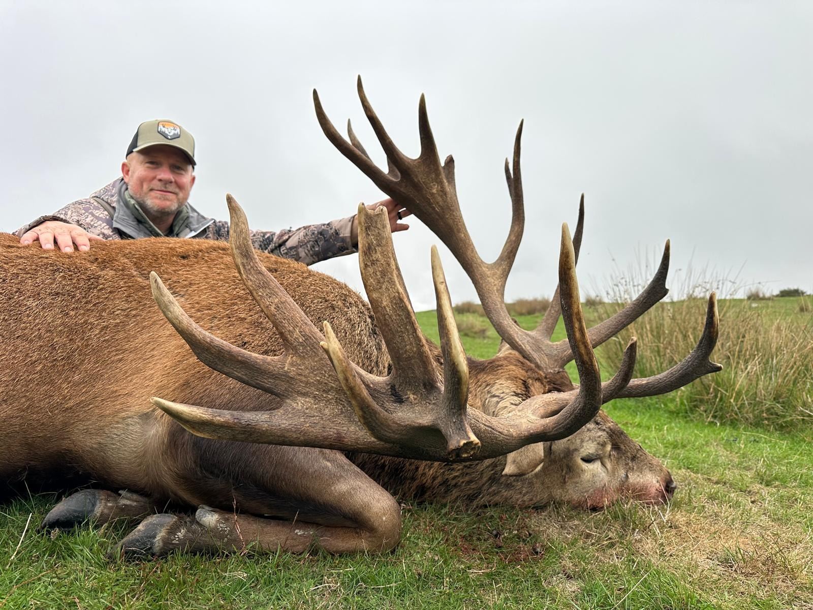 AVON VALLEY SAFARIS NEW ZEALAND GOLD MEDAL RED STAG 5 DAY HUNT FOR 1 ...
