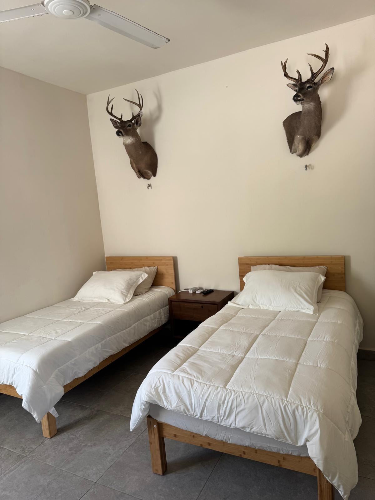 4 DAY/5 NIGHT CENTRAL AMERICAN WHITETAIL HUNT IN MEXICO FOR 1 HUNTER