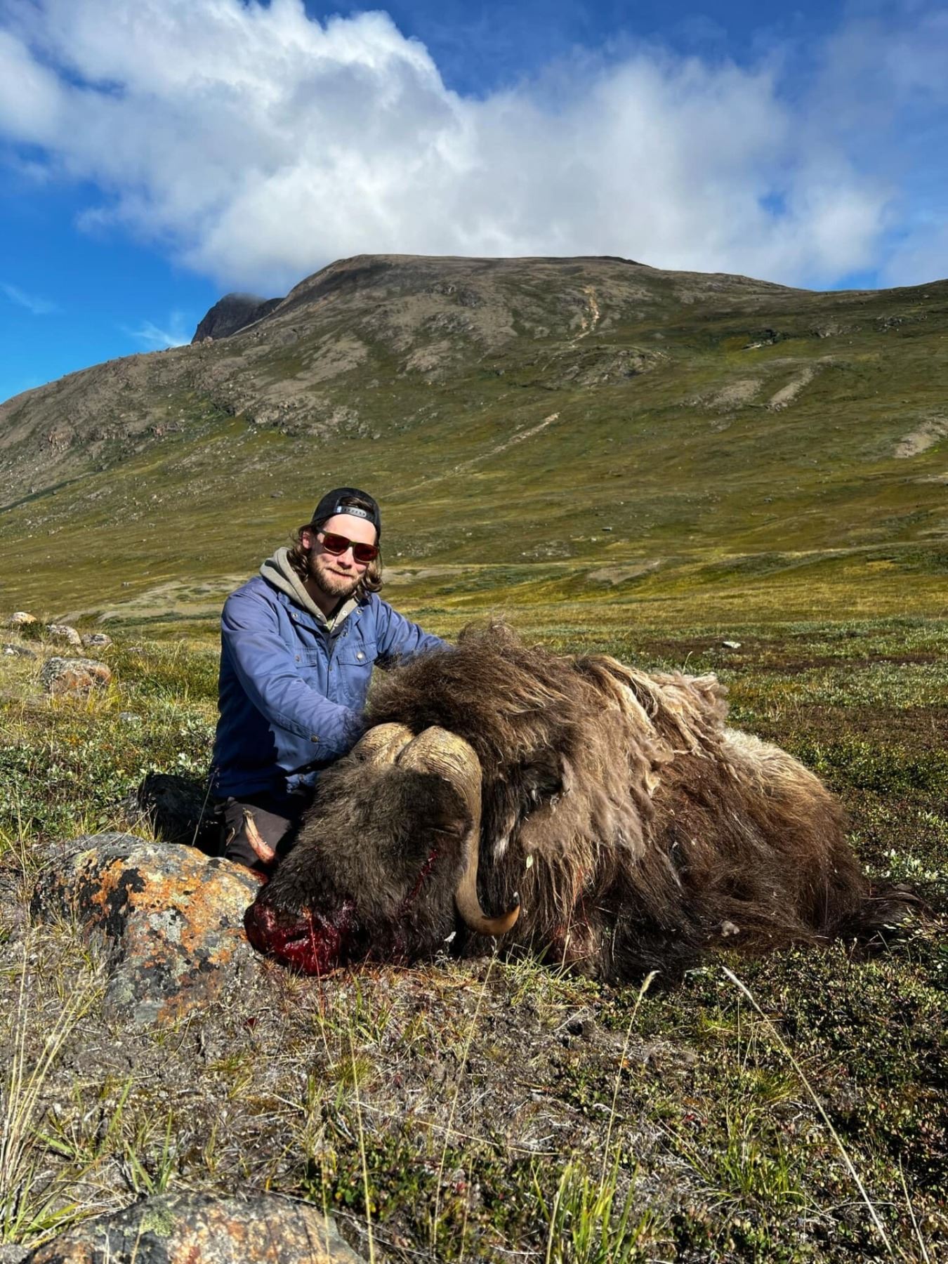 Spring Muskox & Small Game Hunt in Greenland with UPGRADES