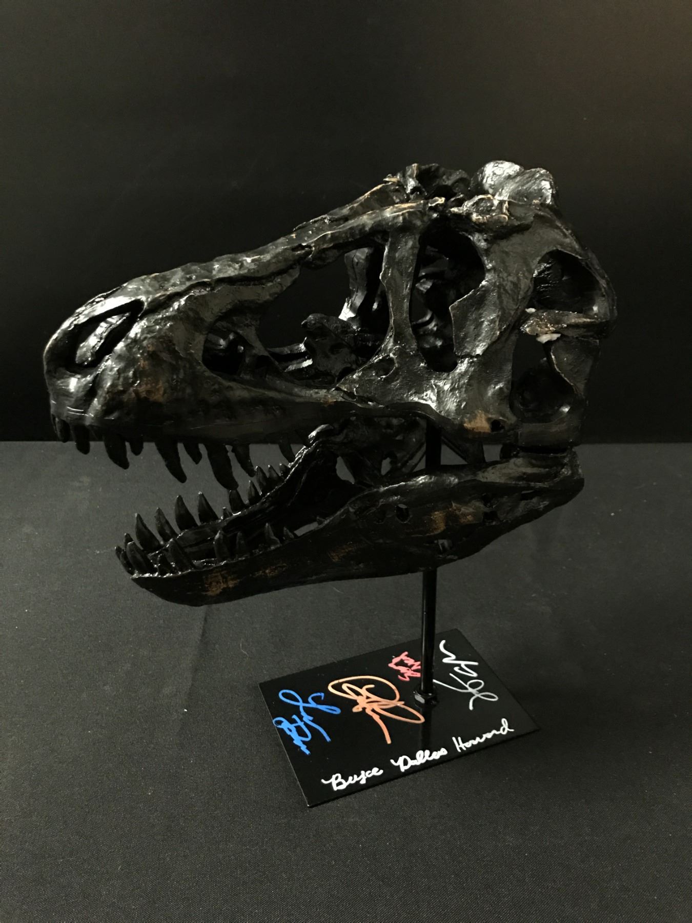 JURASSIC PARK CAST SIGNED T REX RESIN SKULL DISPLAY (PRATT, DERN ...