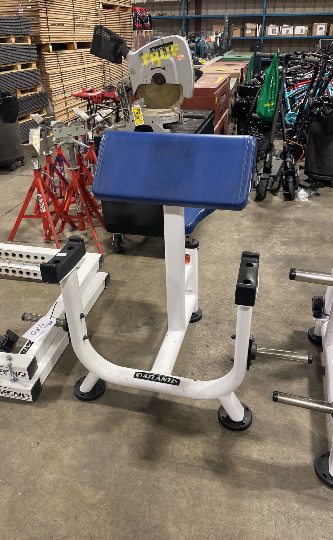 ATLANTIS WHITE / BLUE COMMERCIAL SEATED CURL BENCH - Able Auctions