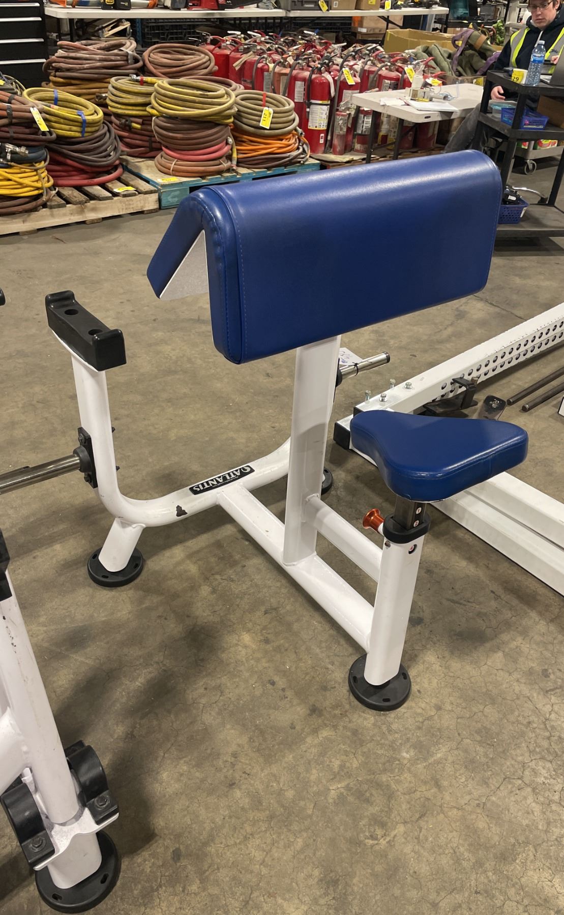 ATLANTIS WHITE / BLUE COMMERCIAL SEATED CURL BENCH - Able Auctions