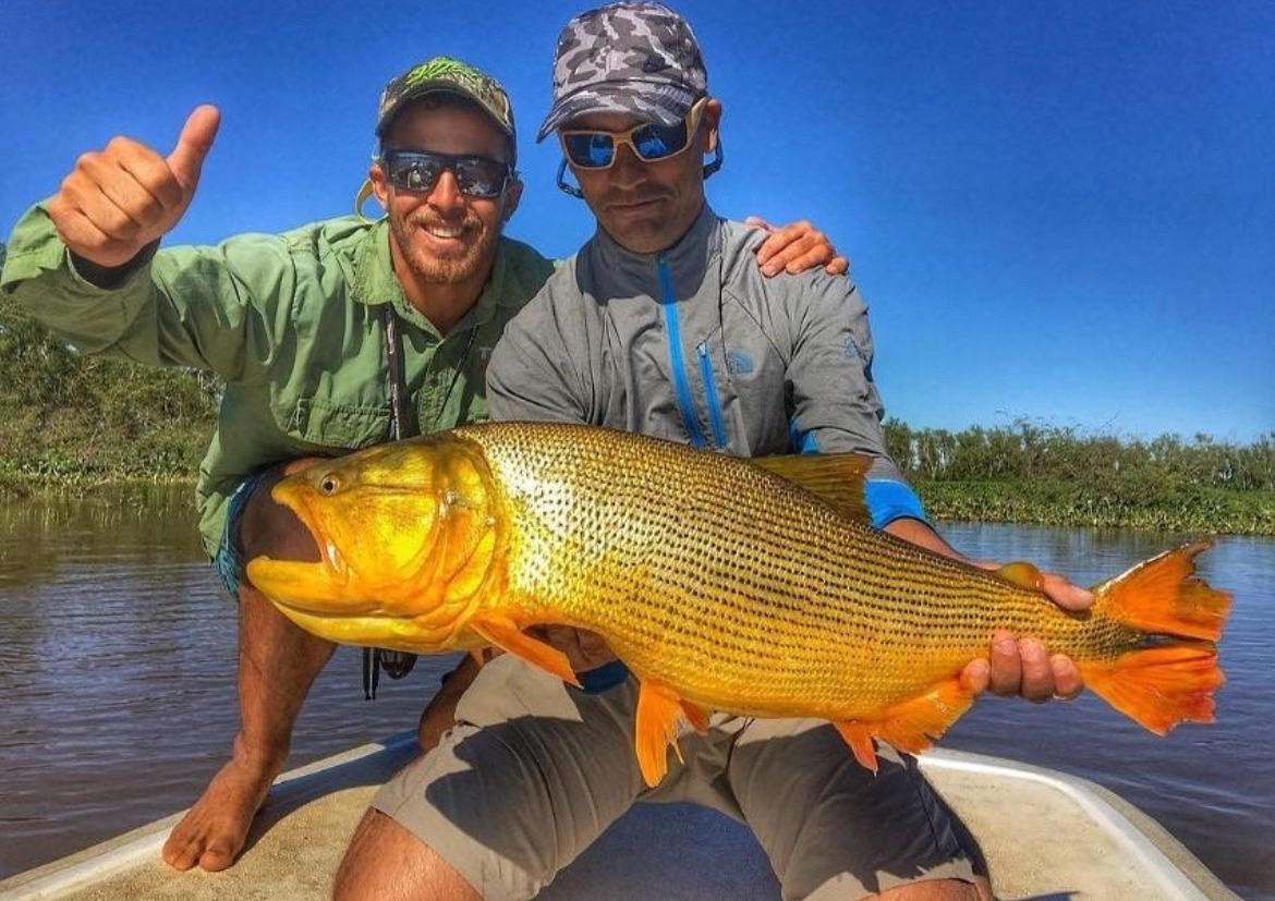 4 Days Free Range, Mixed Bag Hunt for 4 Hunters in Northern Territories ...