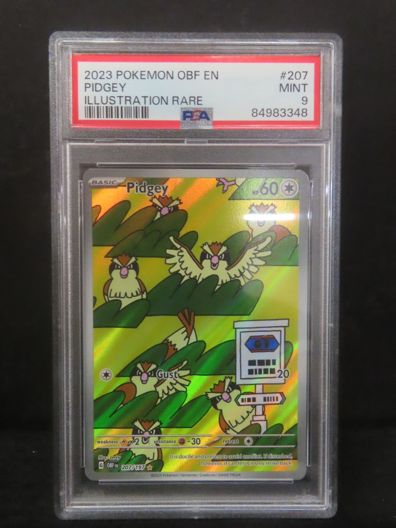 Three Graded Pokémon Cards Including Pidgey, Pidgeotto, and Pidgeot EX