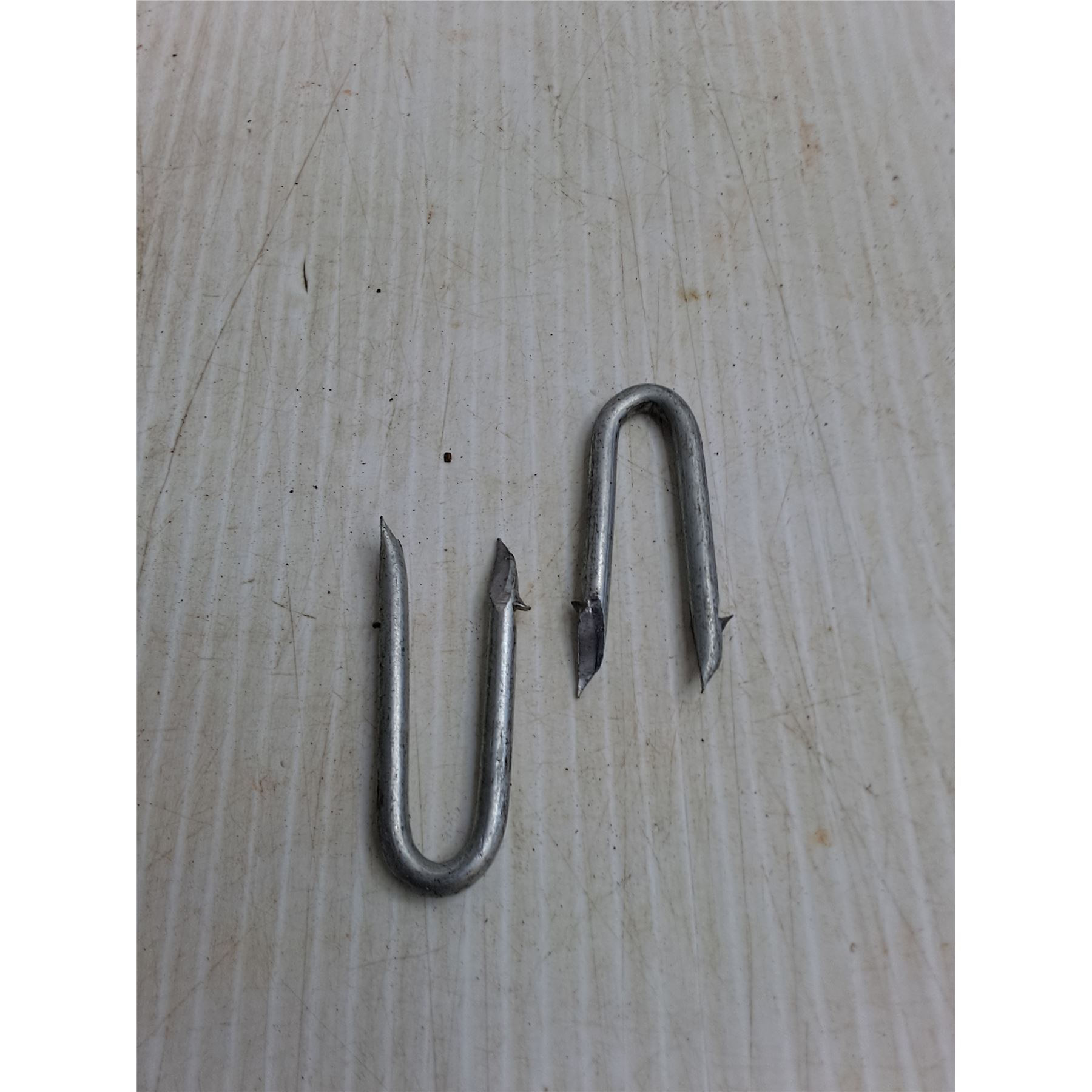 Coffee Can Full of Bulk Galvanized Steel Fence Staples - Bodnarus ...