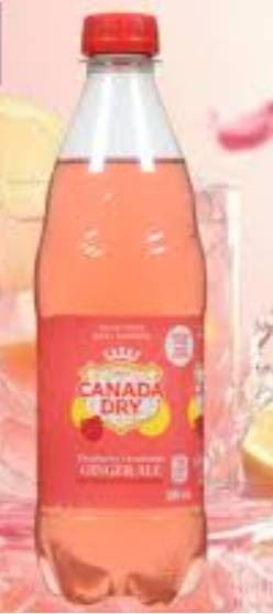 Canada Dry Raspberry Lemonade Ginger Ale, 24 Bottles, 500 mL Each