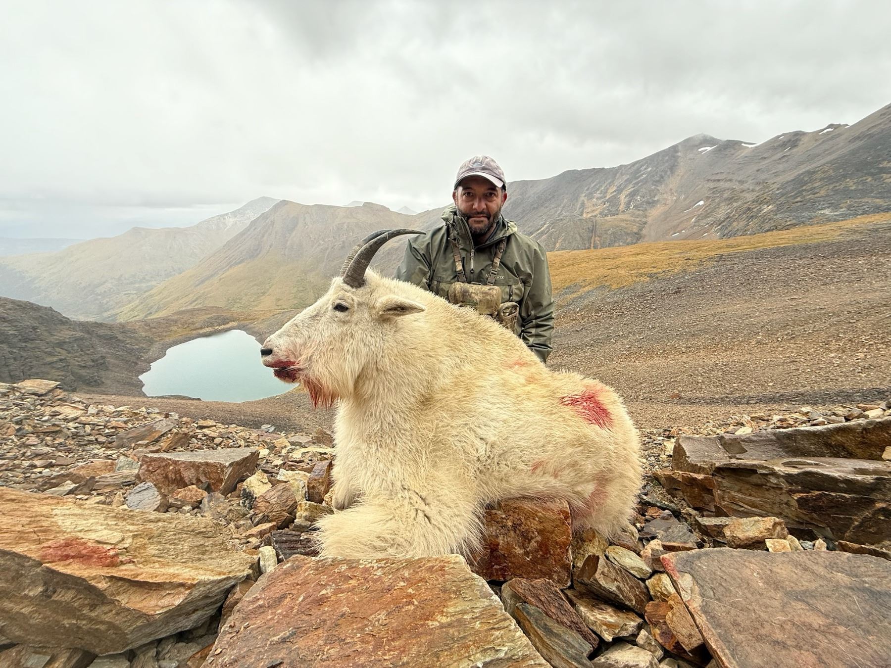 7-Day Mountain Goat Hunt for 1 Hunter