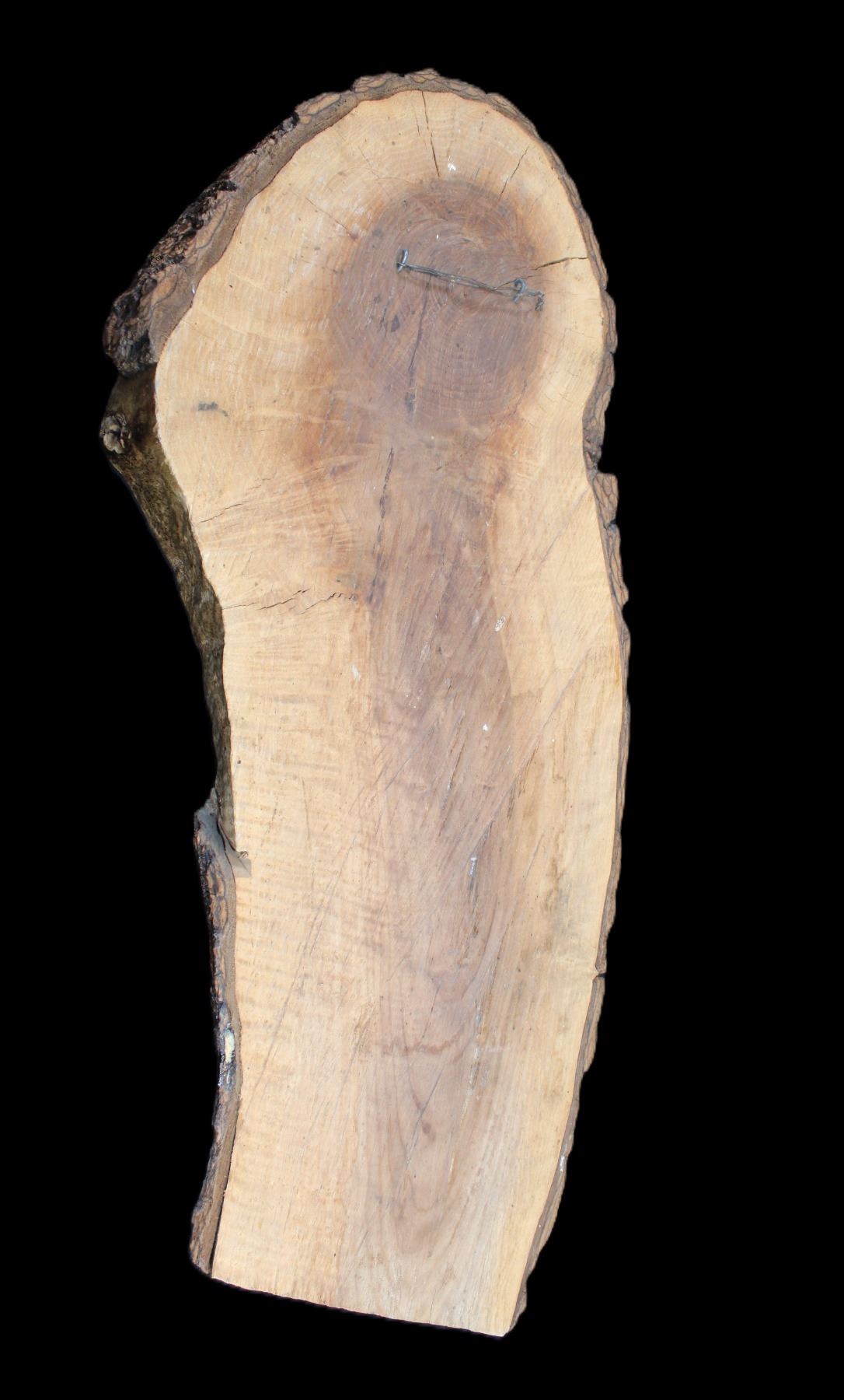 Large Wood Carving Of Buffalo, Elk, Indian- Poem Entitled "Remembering ...