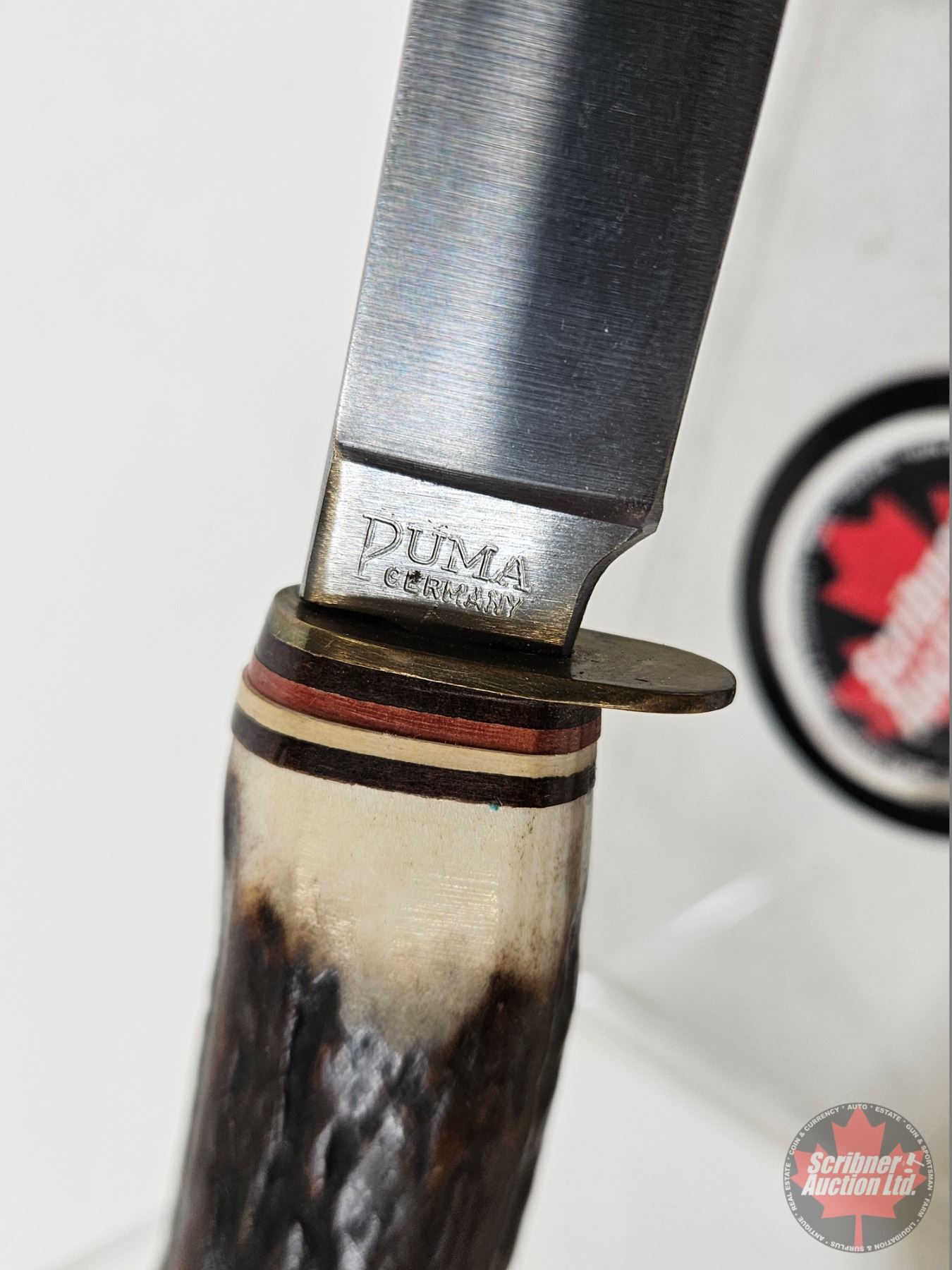 Puma Belt Knife w/Leather Sheath (Consignor Tag ~ Original Puma : No ...