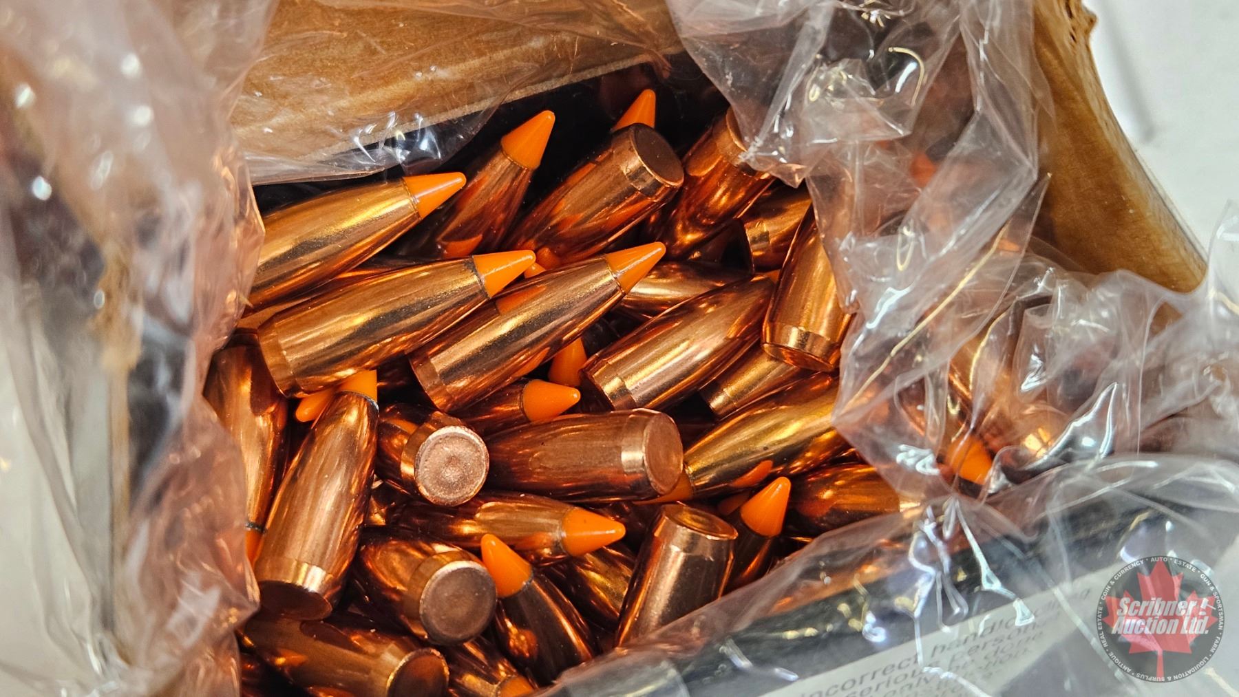 BULLETS: Variety .22 cal (40gr) (571 Count)