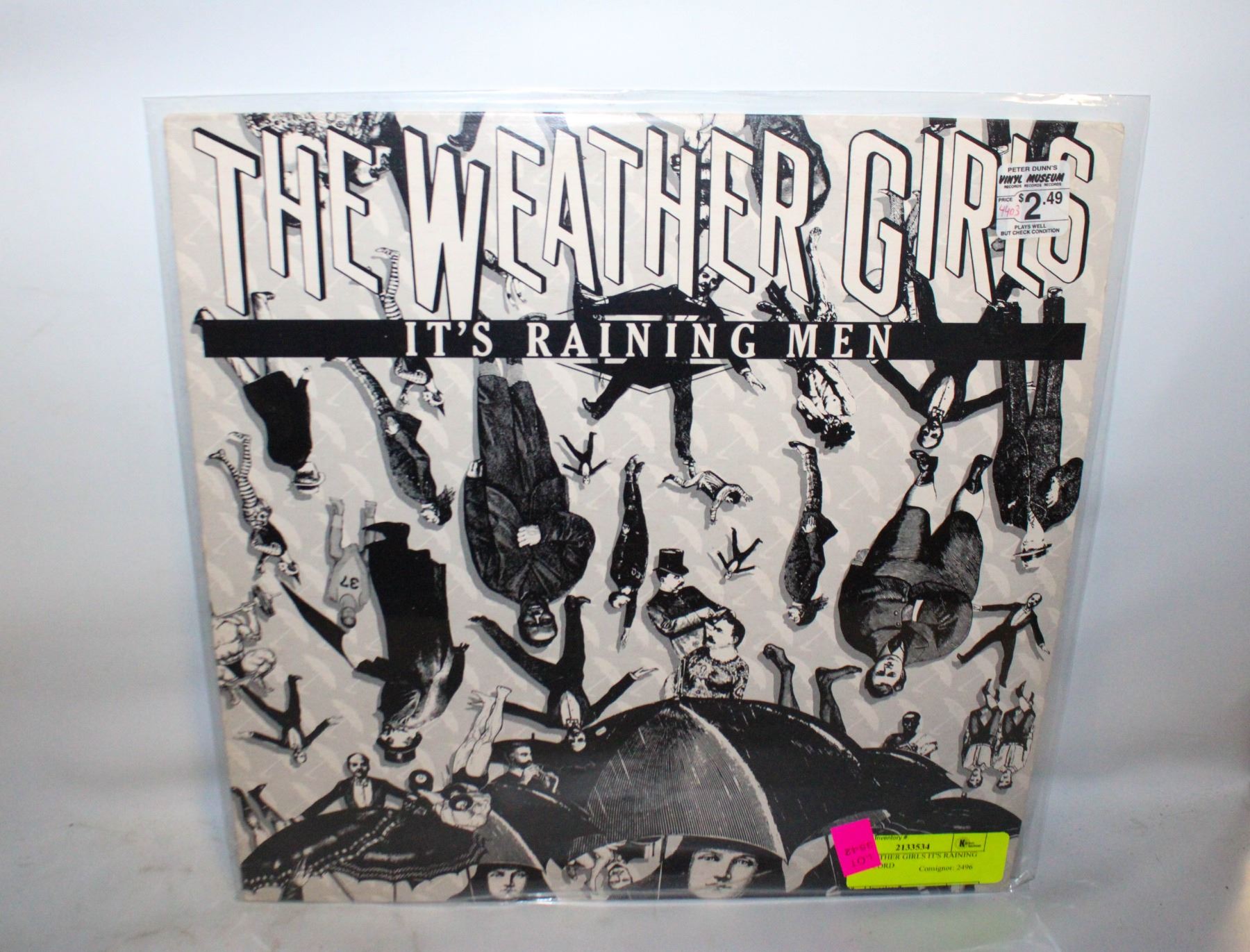 THE WEATHER GIRLS IT'S RAINING MEN RECORD