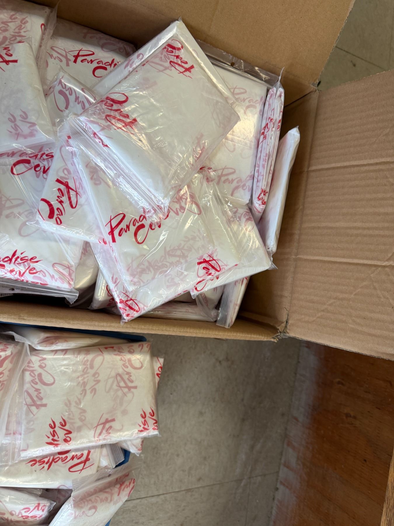 Multiple Paradise Cove Raincoats