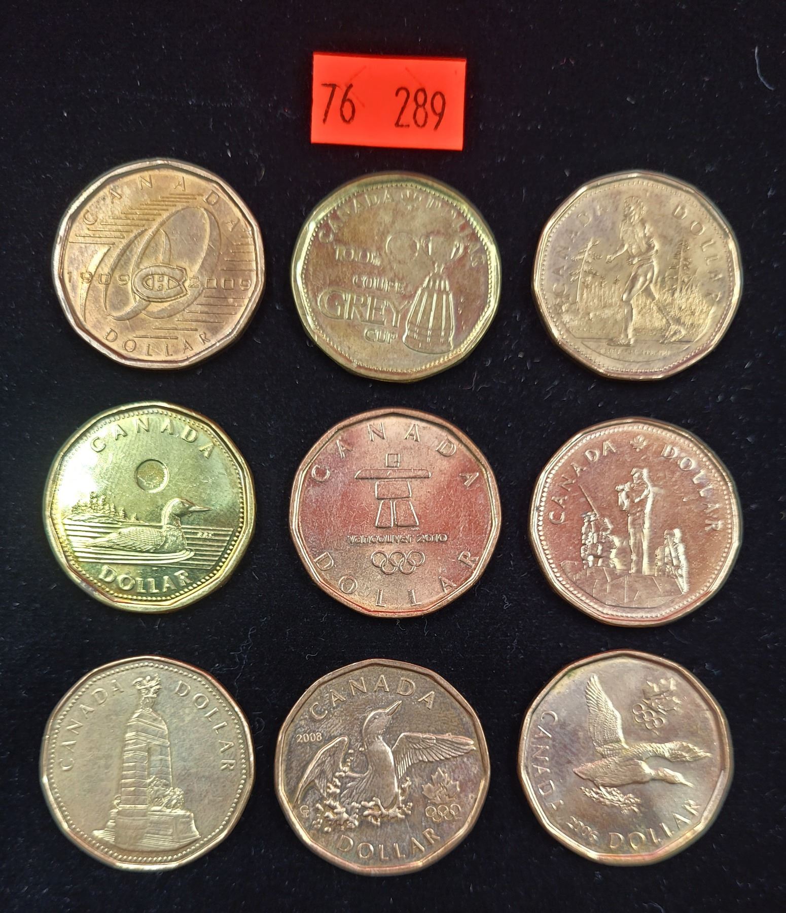 (9) Canadian Loonies (Dollars) Mostly All Different Themes