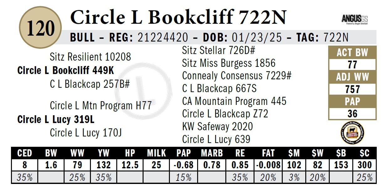 Circle L Bookcliff 722N