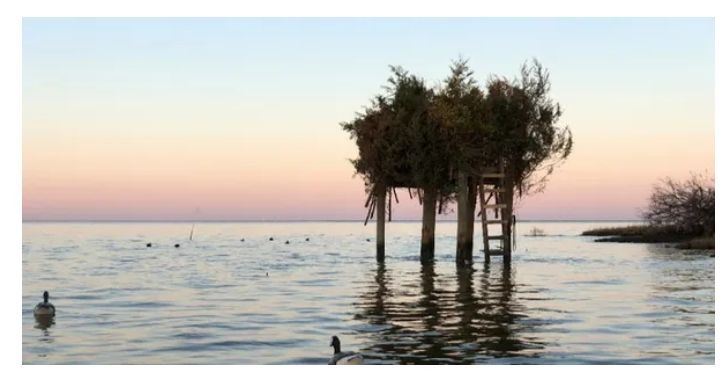 Eastern Shore Duck Hunt – 2 People, 3 Days Donated by Drew Sturgis