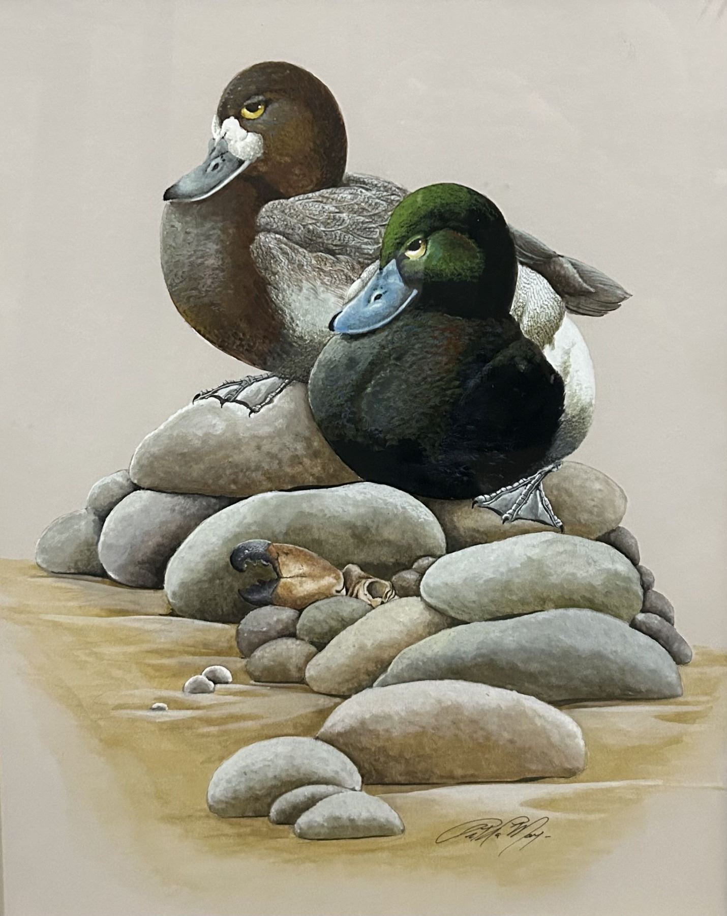 Greater Scaup Pair Original Painting by Art LaMay Donated by Art and ...