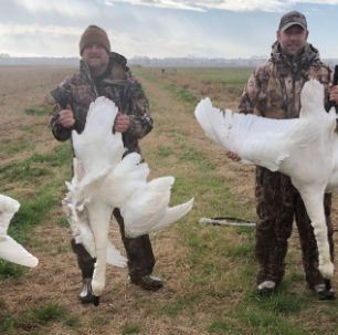 Swan and Snow Goose Hunt - Englehard, North Carolina 5 People, ½ Day ...