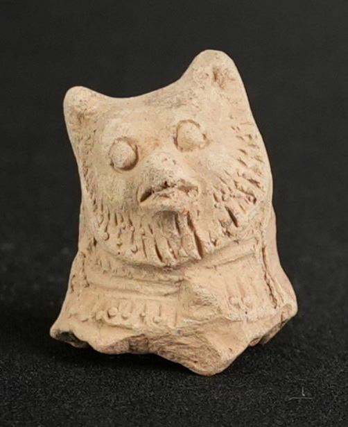 Ancient Egyptian Terracotta Sothic Dog Head