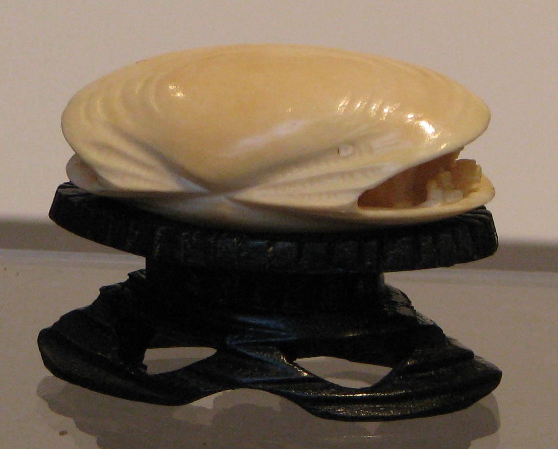 Intricately and Extensively Carved Miniature Ivory Clam Shell Scene