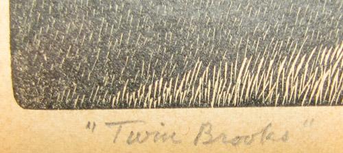 Thomas Nason wood engraving "Twin Brooks"