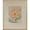 Shirrell Watson Graves, Flower, Watercolor