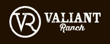 Valiant Ranch- 3 Day/ 2 Night Aoudad Hunt for 1 Hunter