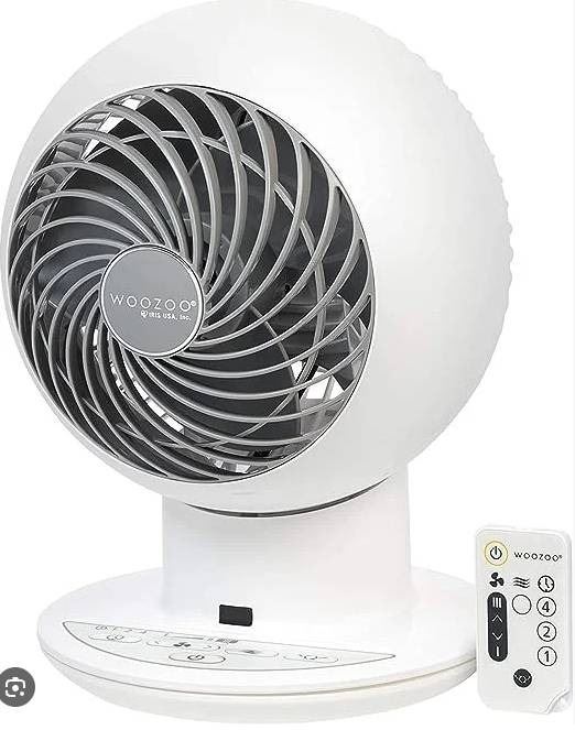 Woozoo Globe Fan with Remote Control, Multi-Directional Oscillation