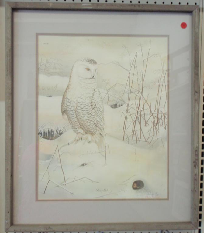 Snowy Owl Plate III by Charles Spaulding -signed