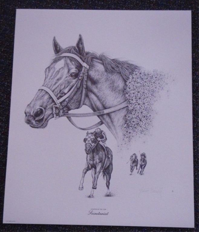 Secretariat by Susan Farrell