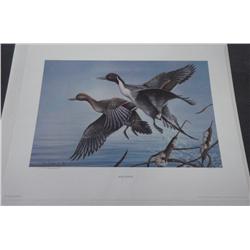 Wind Riders by Tom M Crain