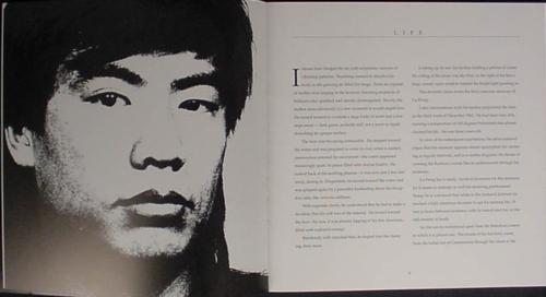 Lu Hong Life and Art Book Yunnan School Illustrated