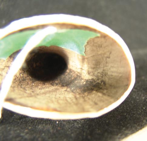 Eskimo Whale's Tooth - Apodruk