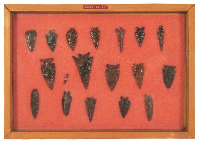 Arrowhead Collection